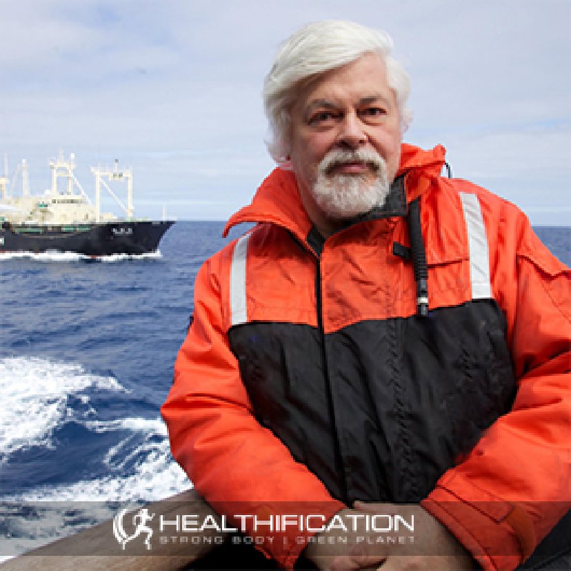 Pirates Get Things Done with Captain Paul Watson. - Healthification
